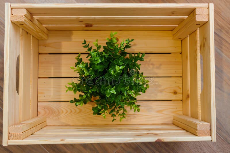 130 Storage Boxes Inside Top View Stock Photos - Free & Royalty-Free ...