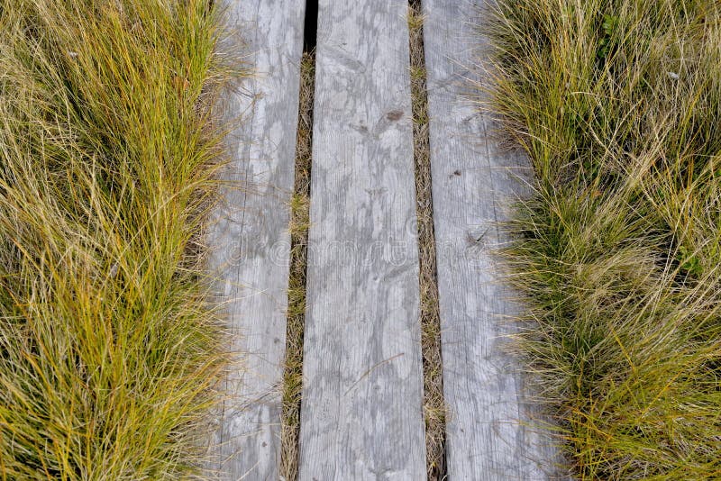 Wooden Footpath Crossing a Meadow with Grass Stock Image - Image of ...