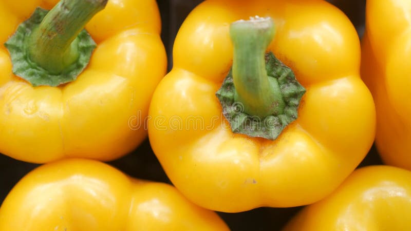 Top View of Yellow Color Capsicum on Table Stock Footage - Video of ...