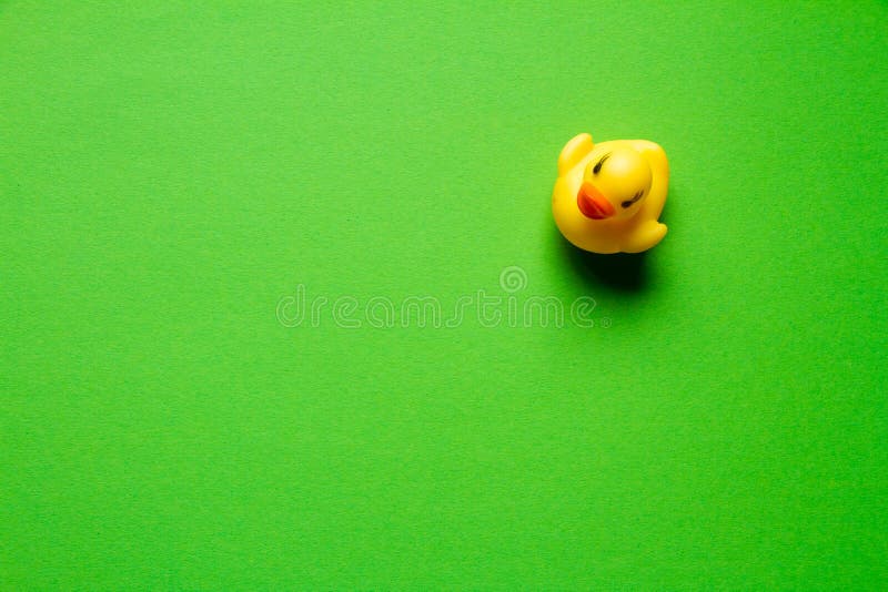 Top View of Yellow Rubber Duck on a Green Backdrop, Minimalistic ...