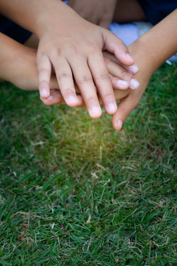 Top View Young Man Putting Their Hands Together on Grass.after Work ...