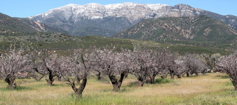 Topa Topa stock image. Image of green, nature, field - 43460707