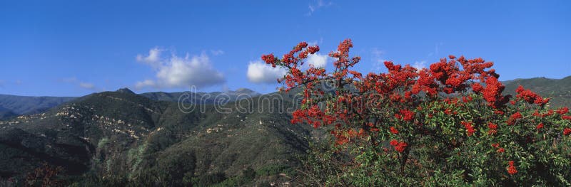Topa Topa Mountains, Ojai, California Stock Photo - Image of topa ...