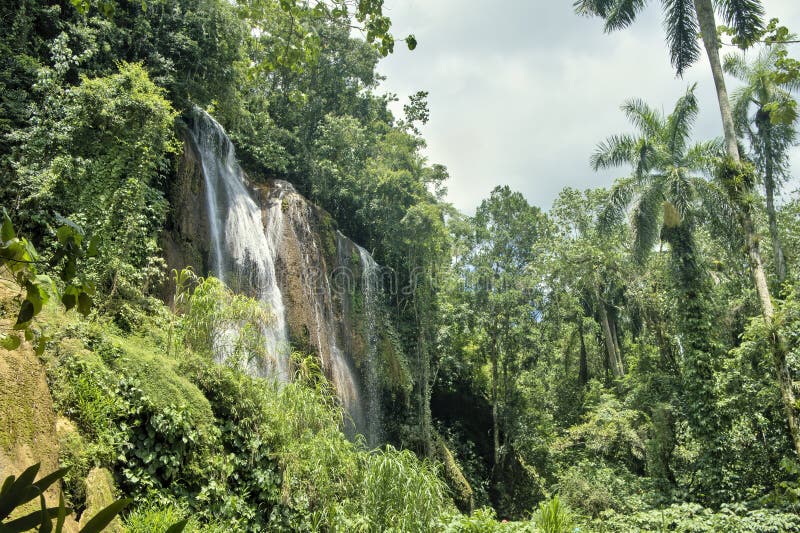 Topes De Collantes Natural Park. Cuba Stock Image - Image of topes ...