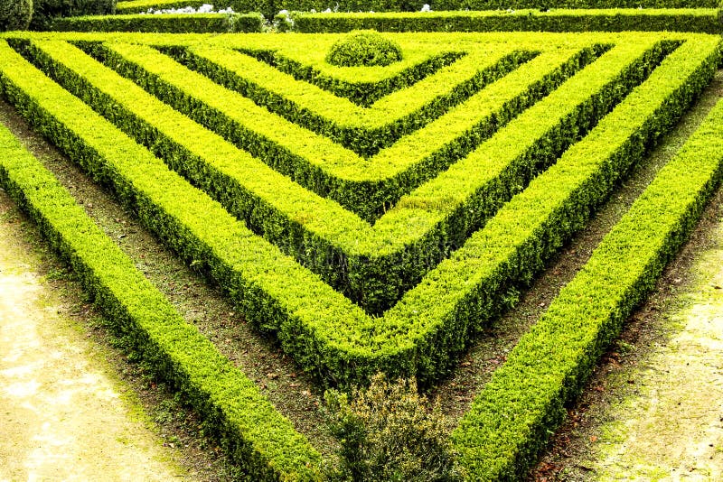 Topiary Art Garden Under the Sun Stock Photo - Image of cobblestone ...