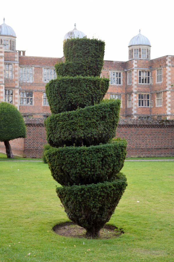 Topiary Bush stock photo. Image of hall, england, building - 98103764