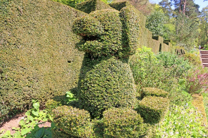 Topiary in a formal garden stock image. Image of landscaped - 296723827