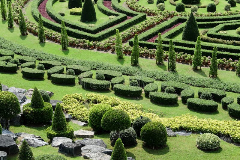 Topiary in Een Engelse Formele Tuin Stock Afbeelding - Image of stijl ...