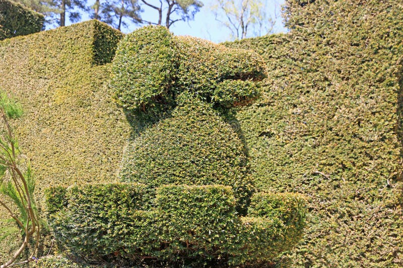 Topiary in a formal garden stock image. Image of landscaped - 293588493