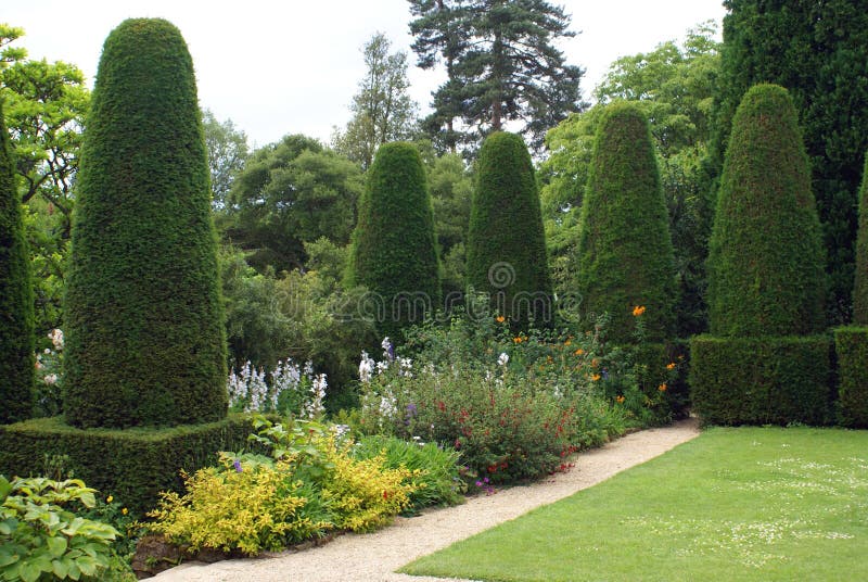 Yew tree topiary border stock image. Image of gardener - 26156009