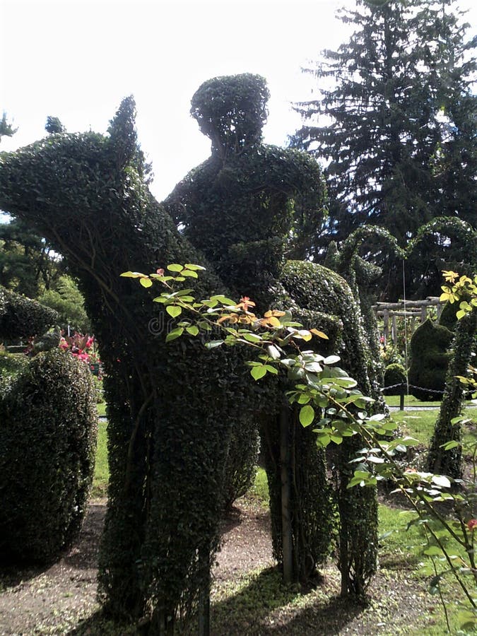 Topiary Horse and Rider stock image. Image of garden - 89662971