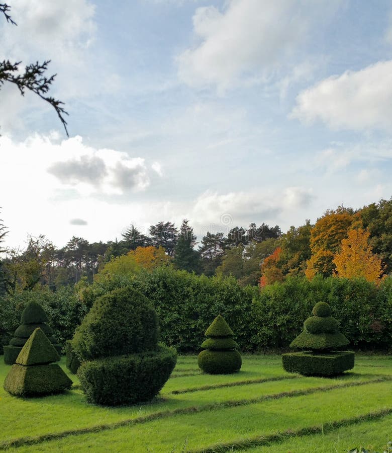 Topiary stock photo. Image of shape, lawn, geometric - 66740030
