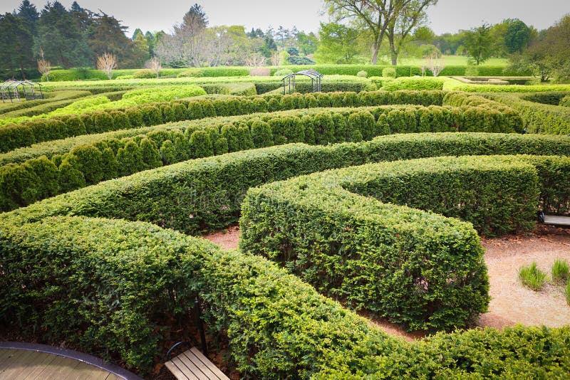 Topiary Maze stock photo. Image of lost, landscaping - 24672800