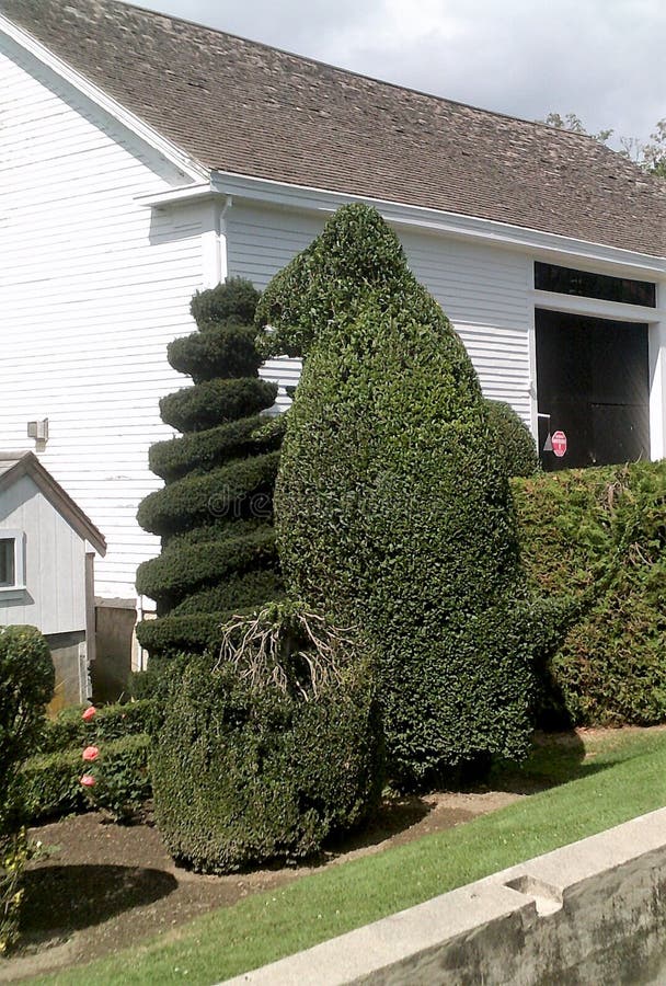 Topiary T-Rex foto de archivo. Imagen de pino, arbustos - 89663012