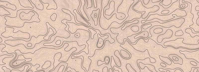 Topographic Map Background. Geographic Line Map with Elevation ...