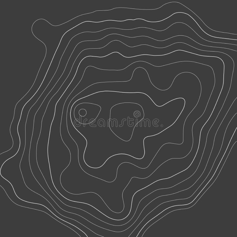 Topographic Map Background. Grid Map. Pattern of Contour Lines ...