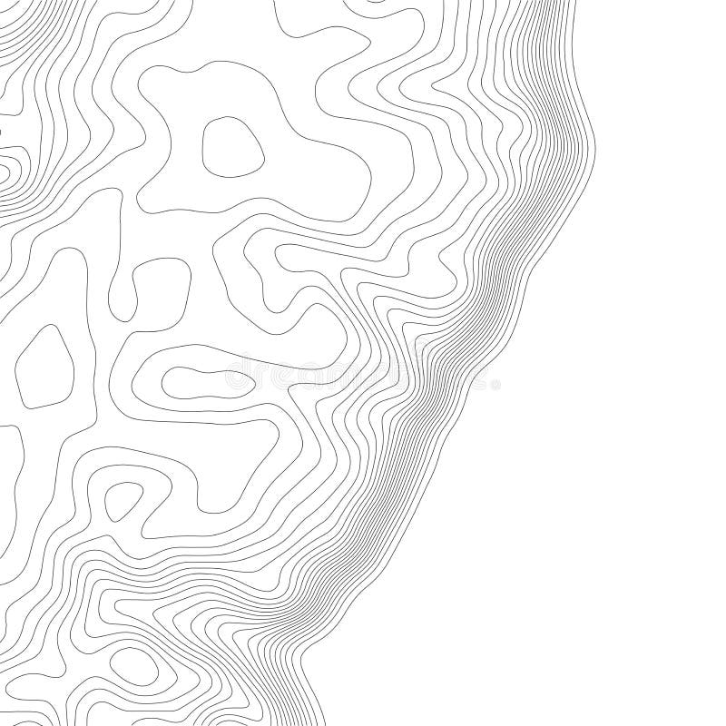 Topographic Map Background. Grid Map. Contour. Vector Illustration ...