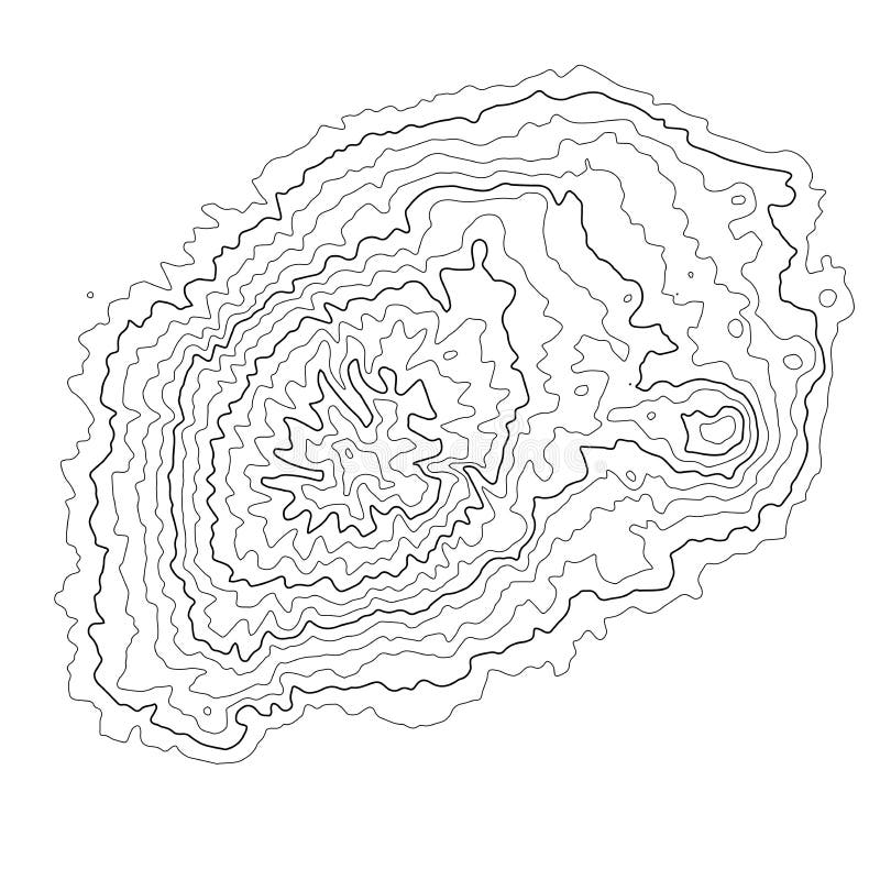 Topographic Map Background. Grid Map. Pattern of Contour Lines ...