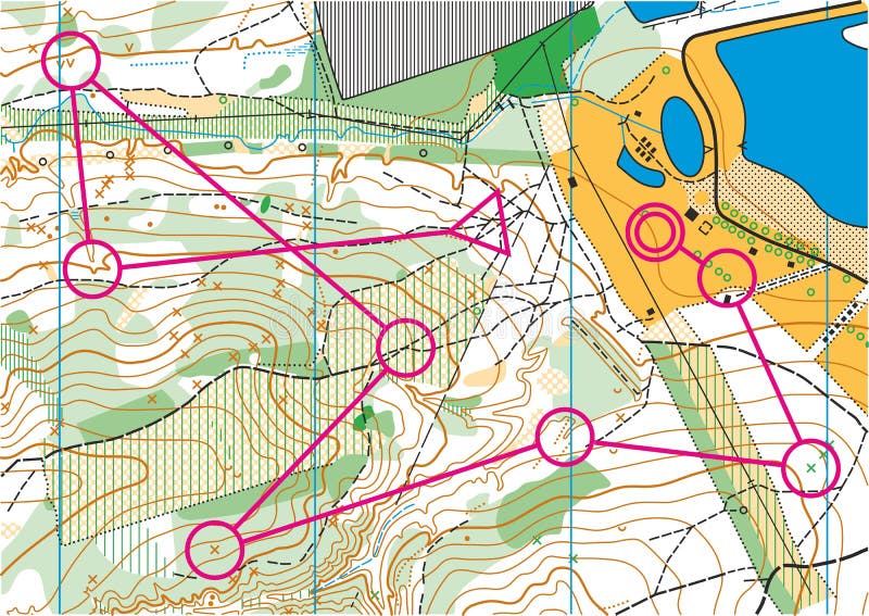 Topographic vector map stock vector. Illustration of discovery - 62643404