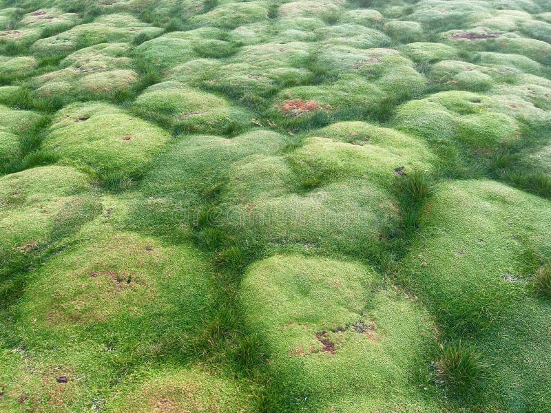 Ocean County Hiking Map Stock Photos - Free & Royalty-Free Stock Photos ...