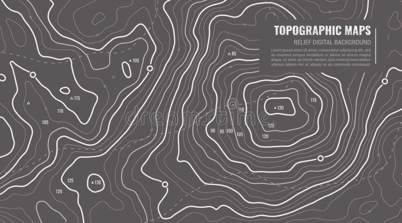Topography Map Background. Vector Web Banner. Stock Vector ...