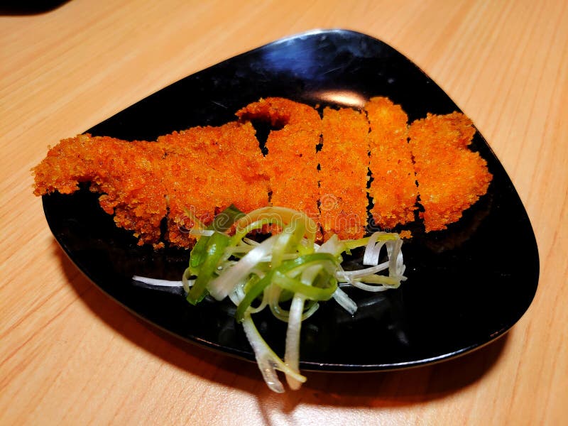 Topping chiken katsu stock photo. Image of meat, soup - 263196596