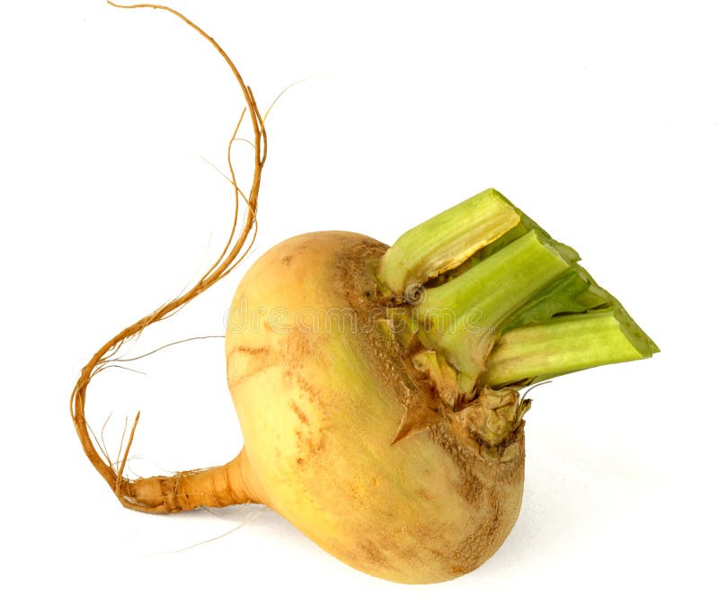 Tops Del Verde De La Fruta Del Nabo Amarillo Imagen de archivo - Imagen ...