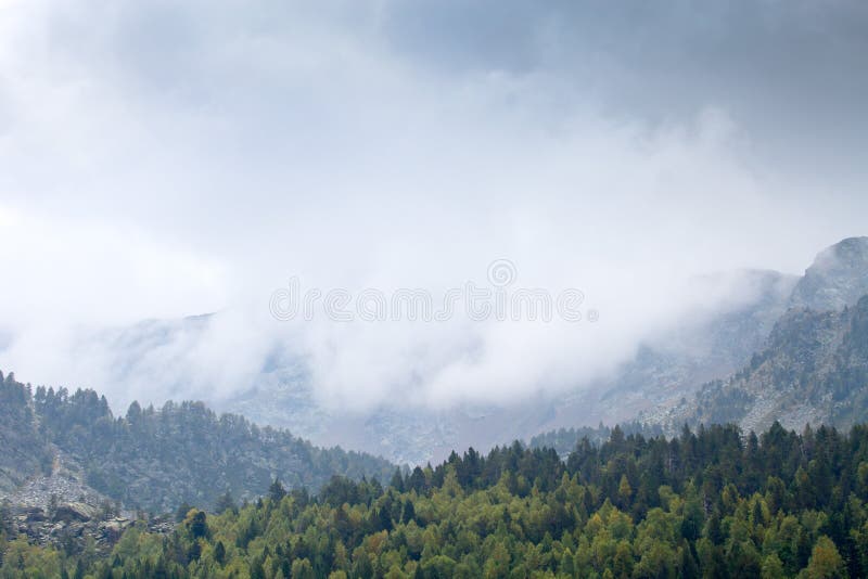 The Tops of Trees and Mountains in the Fog Stock Image - Image of ...