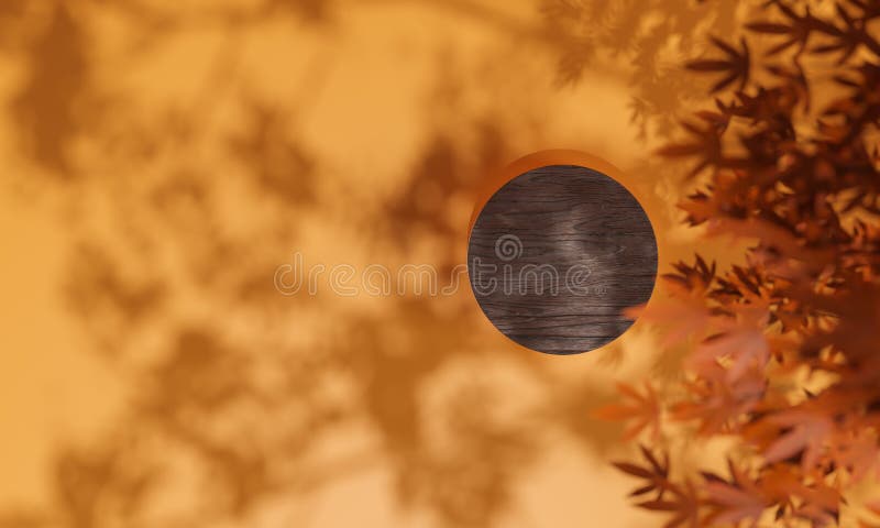 Topview with Colorful Background Snd Tree Stand or Podium on ...