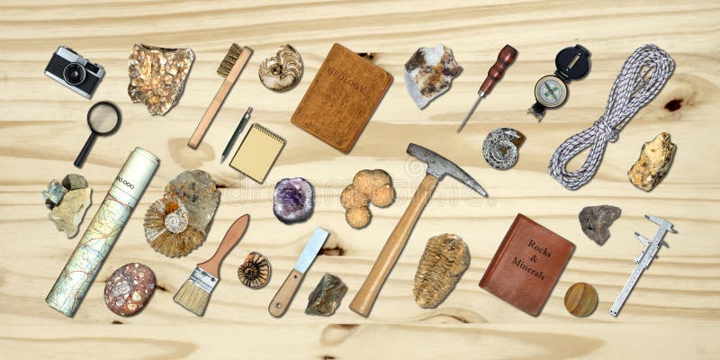 Paleontologist Tools