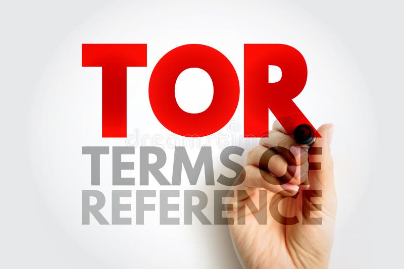 Terms of Reference - Define the Purpose and Structures of a Project ...
