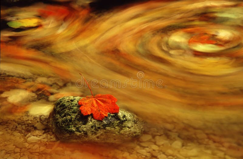 Torbellino imagen de archivo. Imagen de travieso, color - 3582045