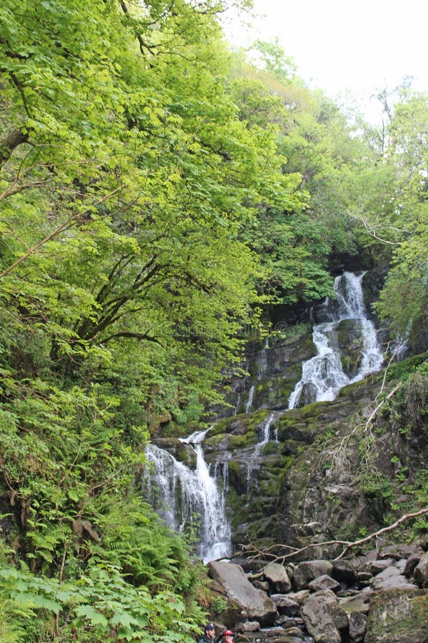 Torc Waterfall in Ireland stock photo. Image of rock - 244692006