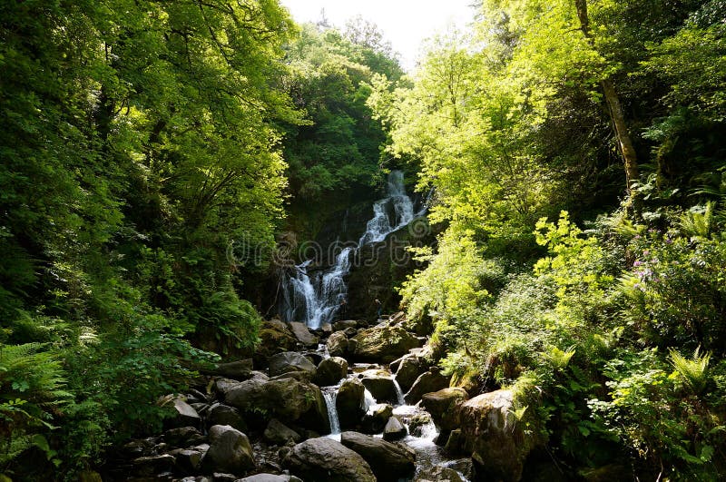 Torc waterfall stock image. Image of trees, water, national - 61843521