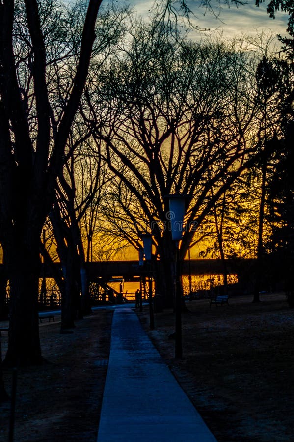 Torch Burning As Sun Sets on Path Their Trees Stock Photo - Image of ...
