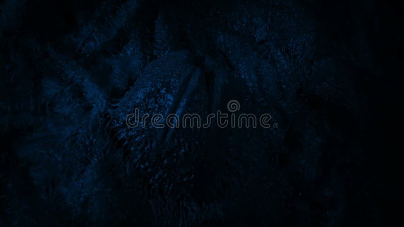 Alien Egg Pod Revealed in Torch Light Stock Video - Video of light ...