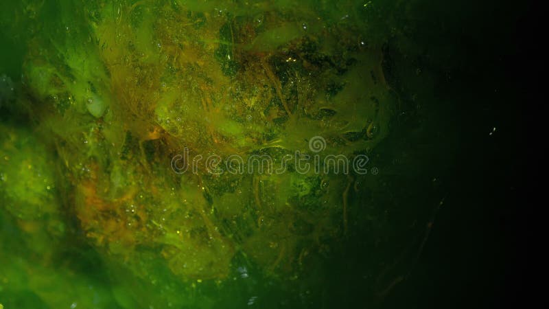 Flashlight on Alien Slime Surface in the Dark Stock Video - Video of ...