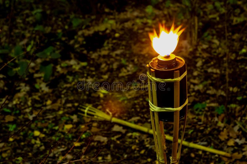 Torches at Night with Yellow Flames and Highlights Stock Photo - Image ...