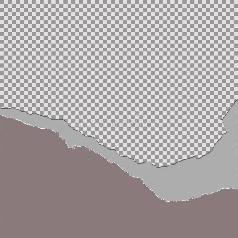 Tore Off Half a Sheet of Gray Paper from the Bottom. Vector Paper ...