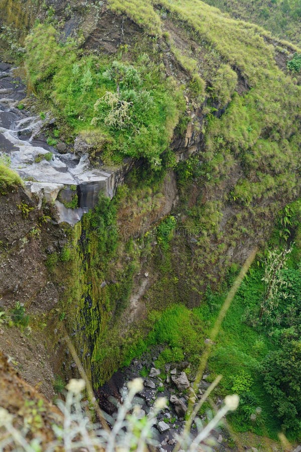 Torean mount Rinjani stock photo. Image of trail, wilderness - 263255360