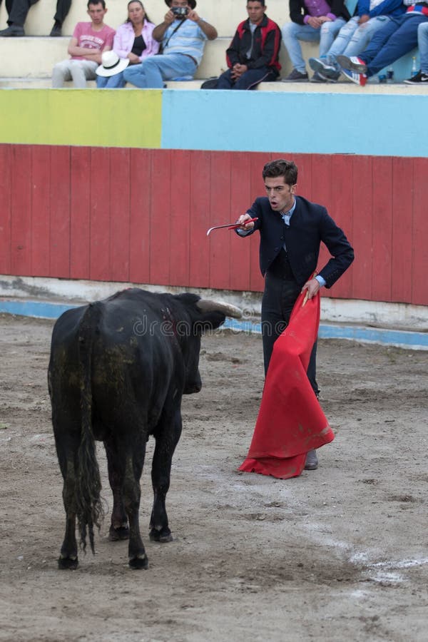 Torero Que Soporta La Espada Hacia El Animal Imagen de archivo ...