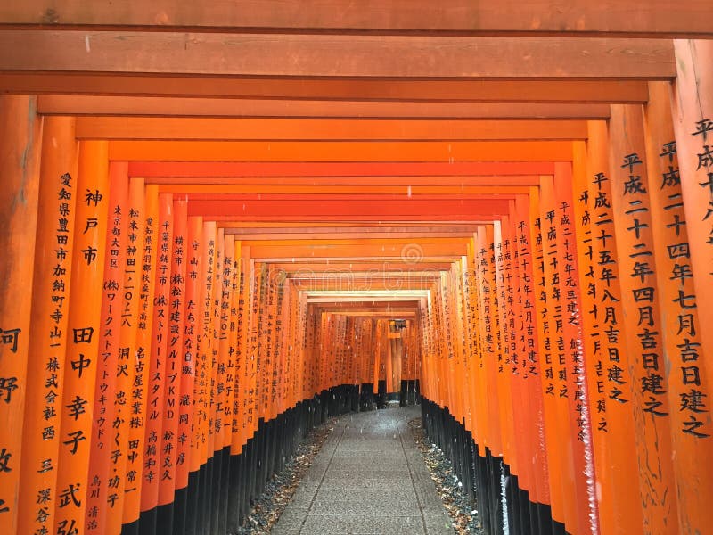 Torii stockfoto. Bild von enge, japan - 104907742