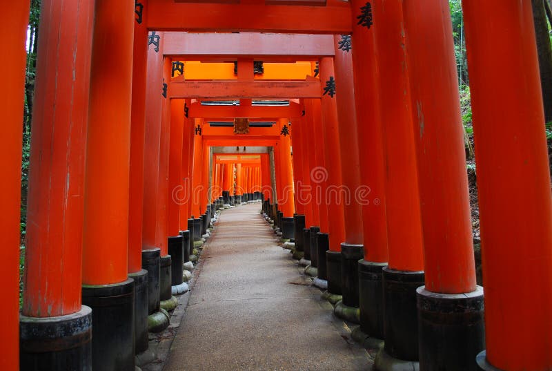Torii gates stock photo. Image of japan, gates, fushimi - 21464718