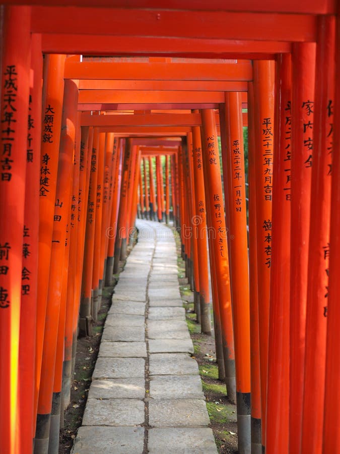 Torii Gates at Nezu Shrine, Tokyo, Japan Editorial Stock Photo - Image ...