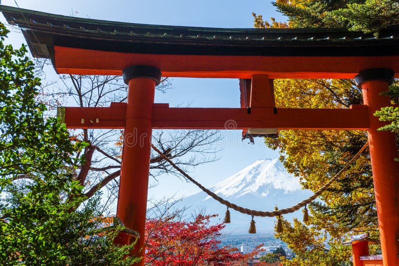 Torii, Maple Tree and Mount Fuji in Japan Stock Image - Image of ...