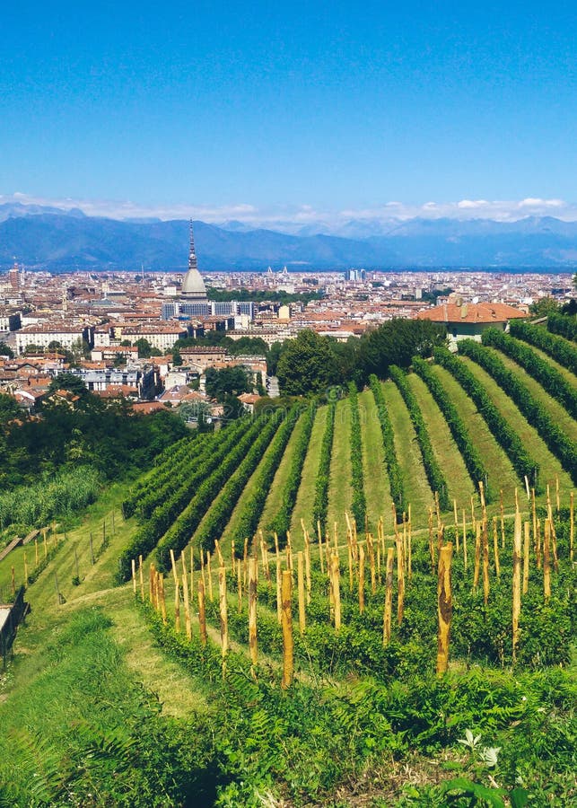 Torino Italia foto de archivo. Imagen de azul, cielo - 100149340