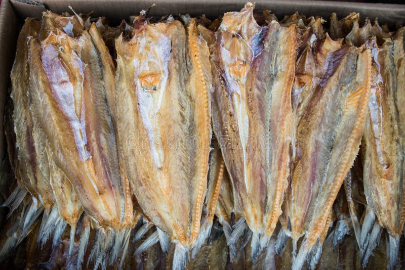 Rökt fisk för 2 torsk arkivfoto. Bild av bevarat, fiskare - 101976