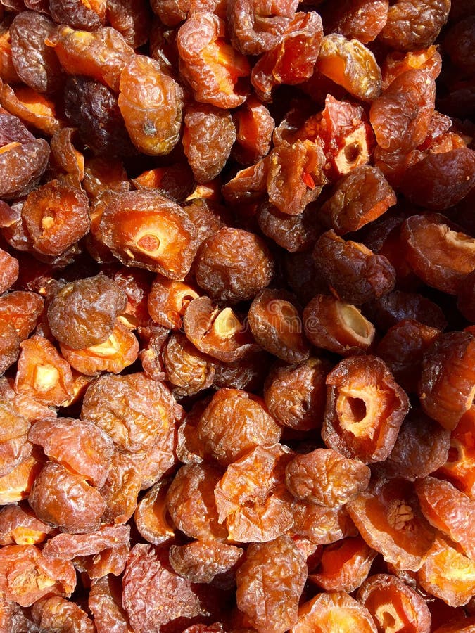 Torkad aprikos fotografering för bildbyråer. Bild av näring - 69278505