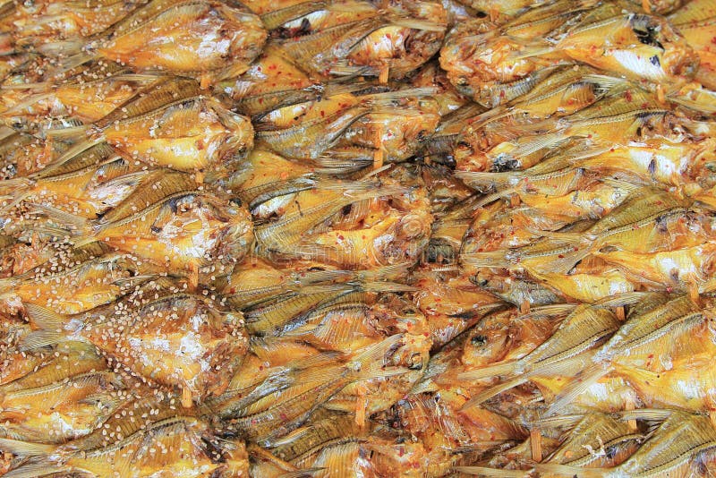 Torkad fisk fotografering för bildbyråer. Bild av bangor - 40726007