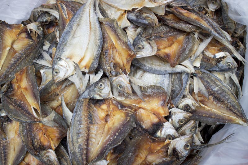 Torkad fisk fotografering för bildbyråer. Bild av marknad - 71391755
